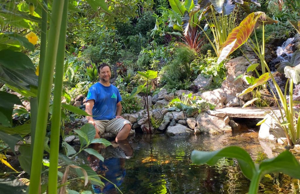 About - Dreamscapes Water Features & Landscape